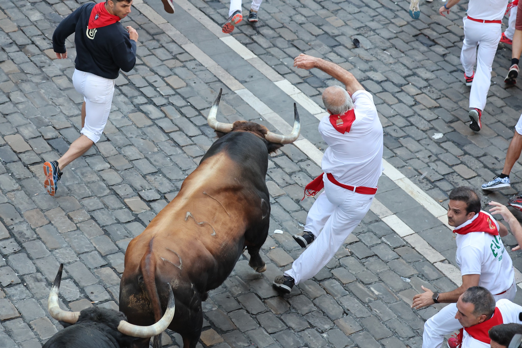 San Fermín 2024 tem ganadarias definidas - Touro e Ouro