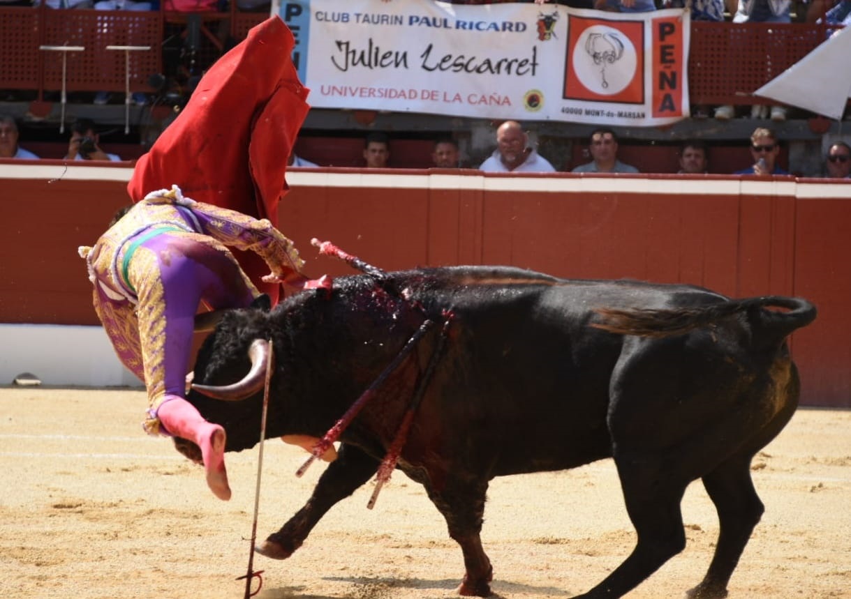 Tristán Barroso colhido em Mont de Marsan, Marco Pérez a ombros - Touro ...
