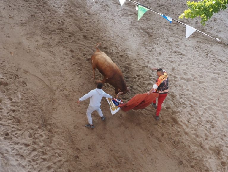 Azambuja celebra Mês da Cultura Tauromáquica com dezenas de iniciativas ...