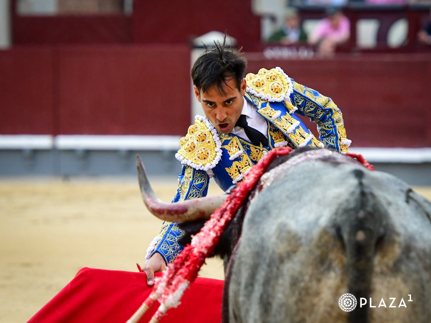 Vigésima segunda de Madrid com um valente Gómez del Pilar - Touro e Ouro