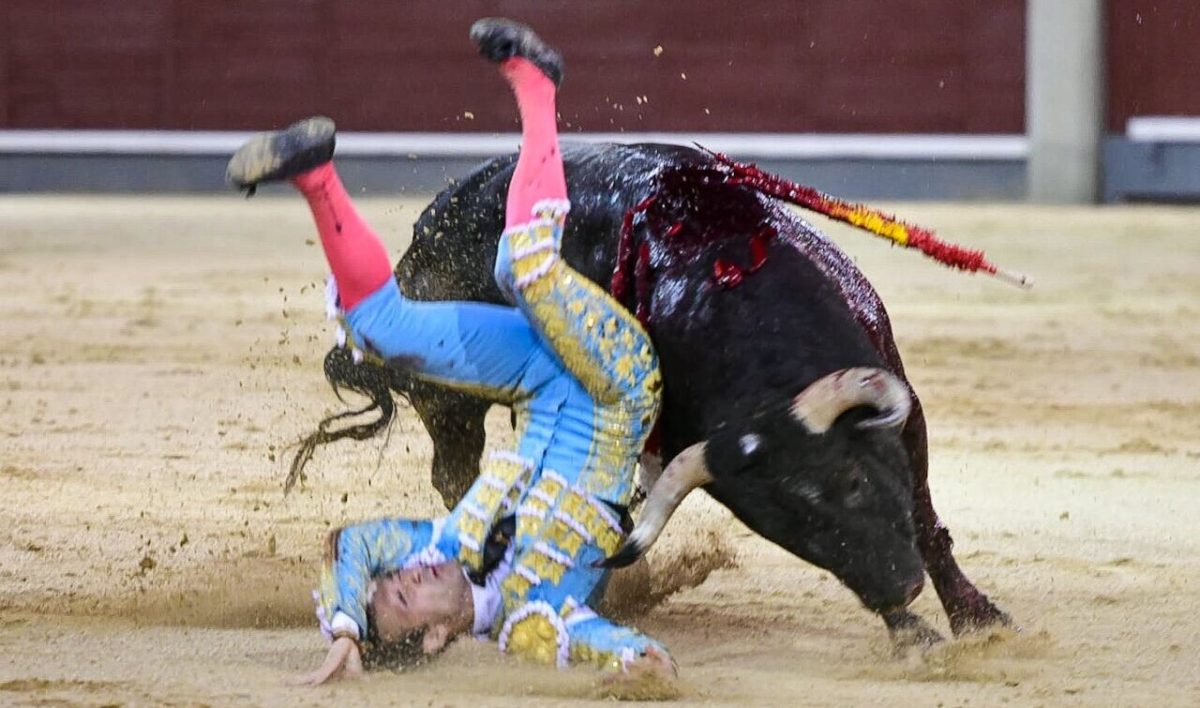 O herói da tarde em Las Ventas foi Cristian Pérez - Touro e Ouro