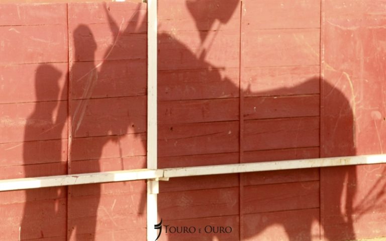 Palmas para Moura Caetano em Medina de Rioseco - Touro e Ouro